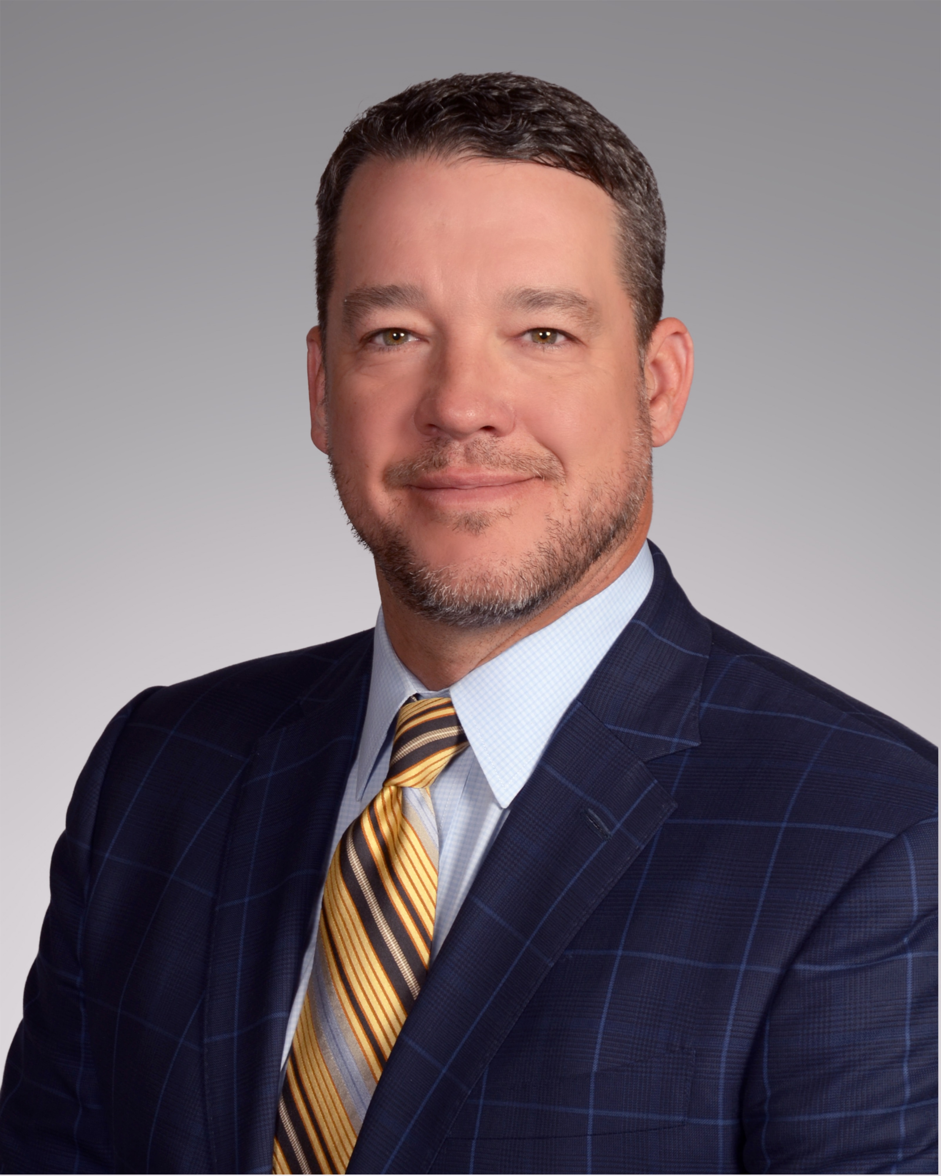 Paul Hamilton - Province